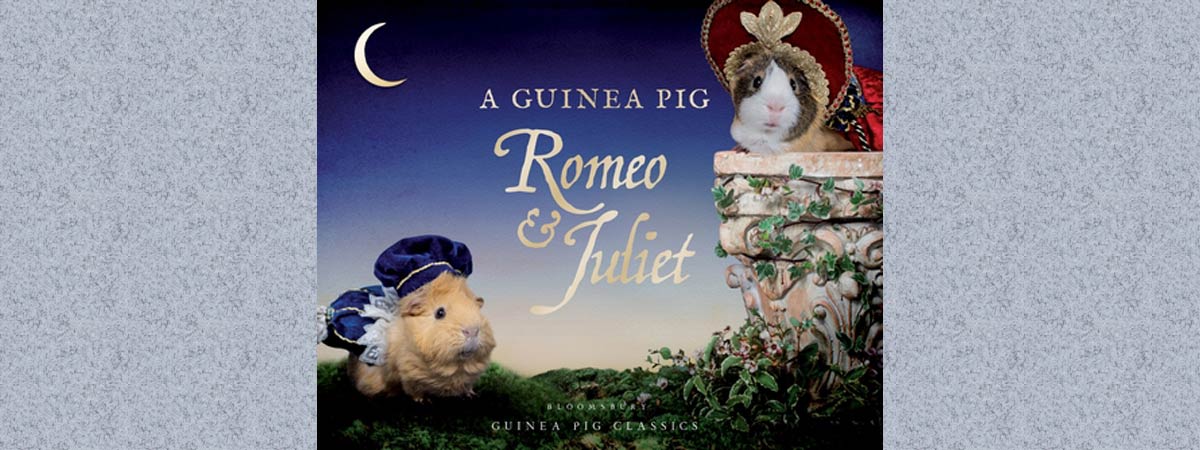A Guinea Pig Romeo & Juliet - Lafeber Co. - Small Mammals