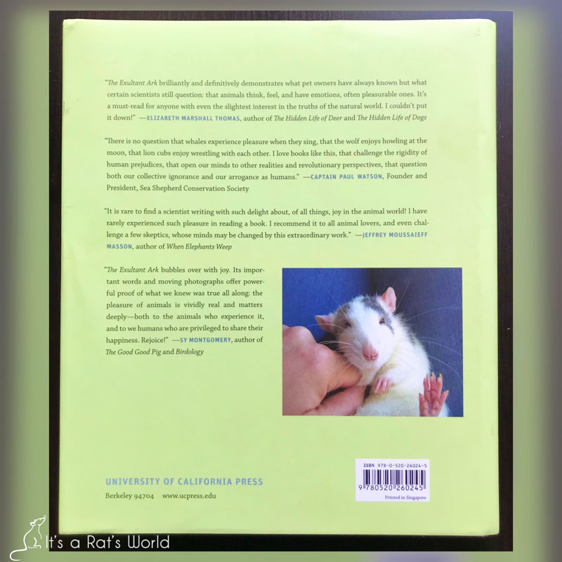 Celebrity Rats: Rats In Literature – Lafeber Co. – Small Mammals