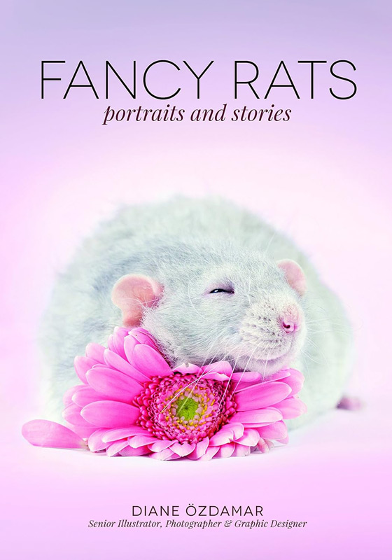 Celebrity Rats: Rats In Literature – Lafeber Co. – Small Mammals