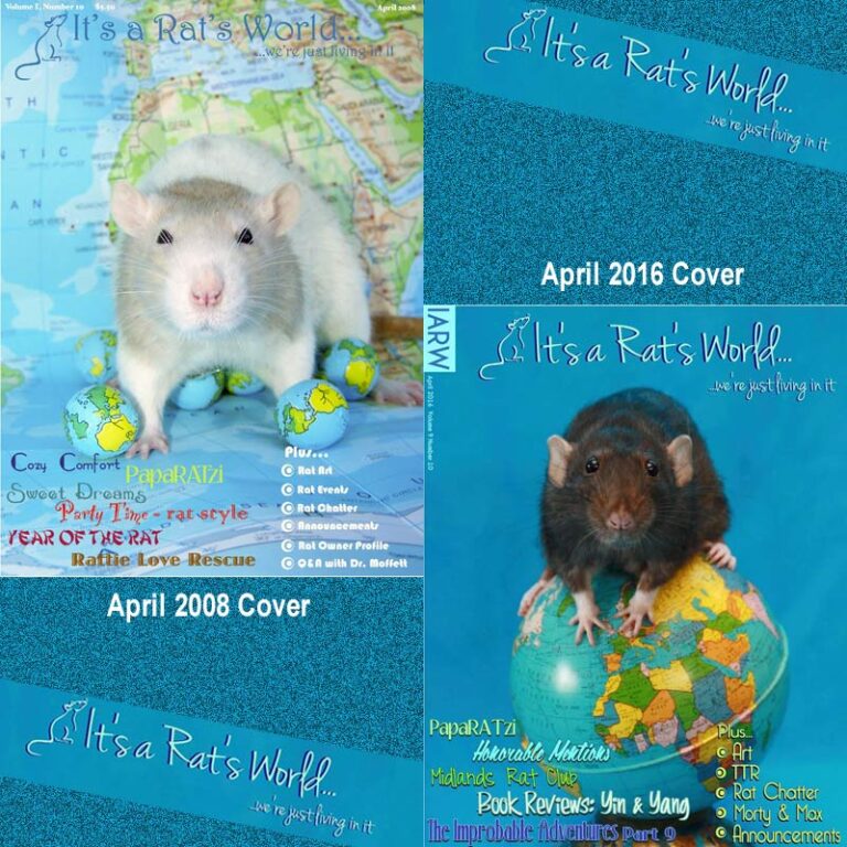 The History Of World Rat Day – Lafeber Co. – Small Mammals