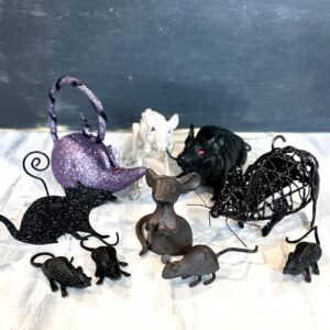 Celebrating Halloween With Rats – Lafeber Co. – Small Mammals