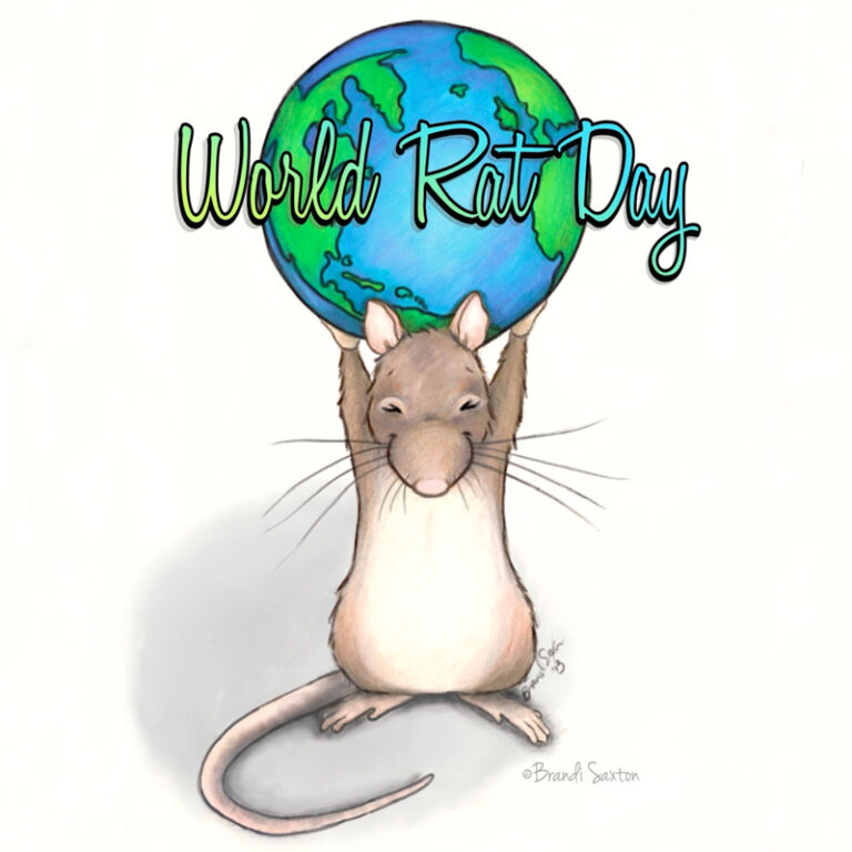 The History Of World Rat Day – Lafeber Co. – Small Mammals