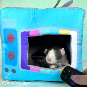 More Reviews Of Movies Starring Rats Or Rodents – Lafeber Co. – Small ...