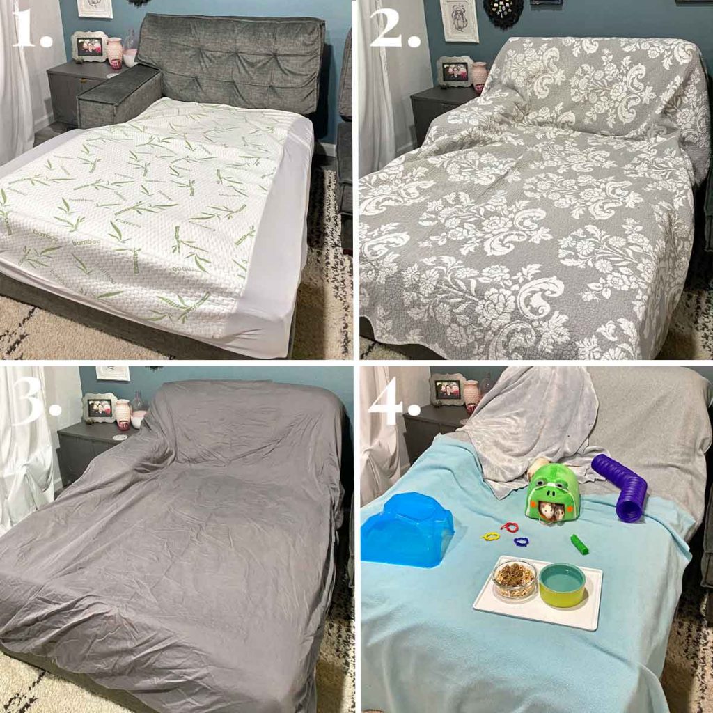 Let Rat Play Rule In A Rat Playground – Lafeber Co. – Small Mammals