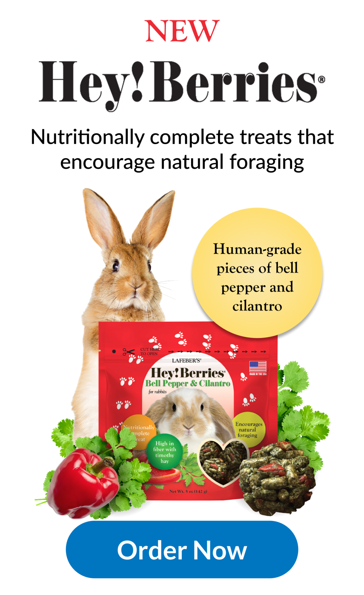 All About Rabbit Breeds – Lafeber Co. – Small Mammals