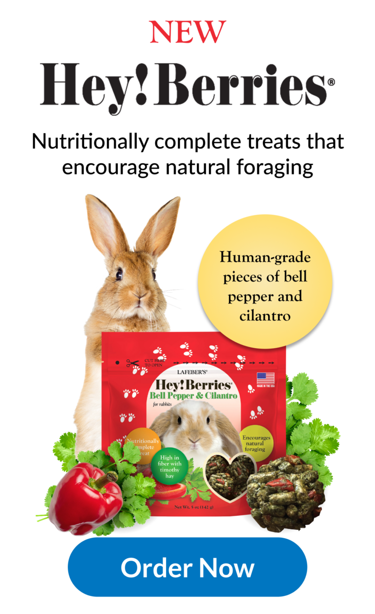 Common Tooth Problems Of Pet Rabbits – Lafeber Co. – Small Mammals