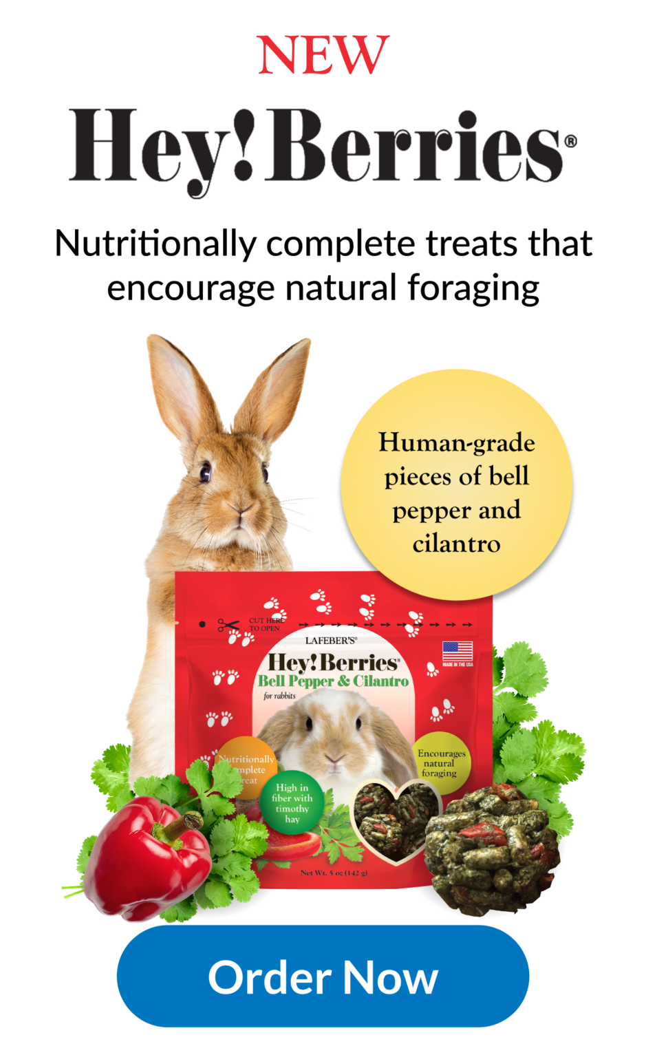 Mini Rex Rabbit Profile – Lafeber Co. – Small Mammals