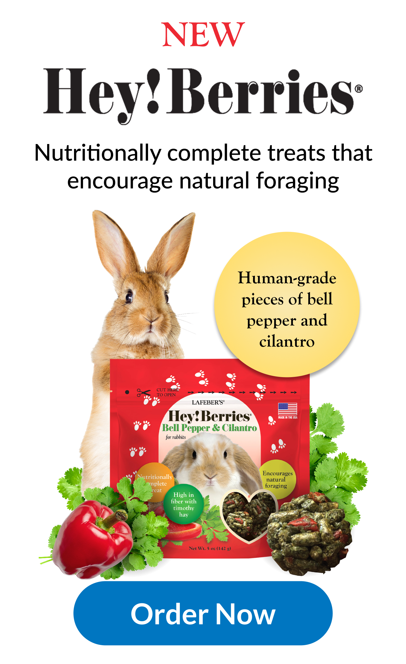 All About Rabbit Breeds – Lafeber Co. – Small Mammals