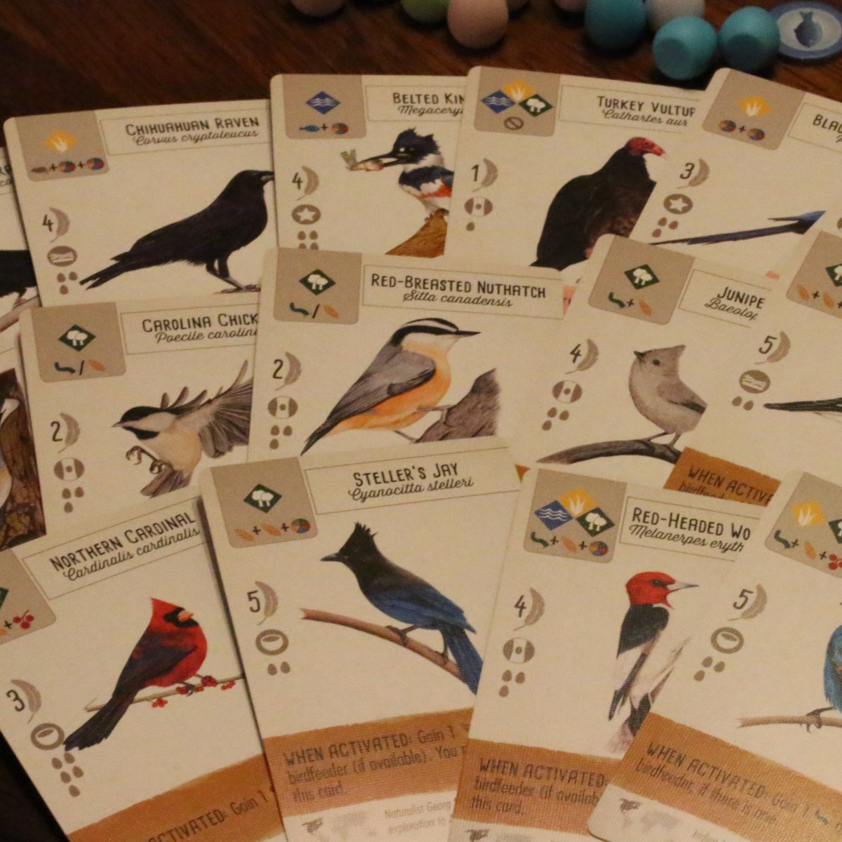 A Game Perfect For Bird Enthusiasts – Pet Birds by Lafeber Co.