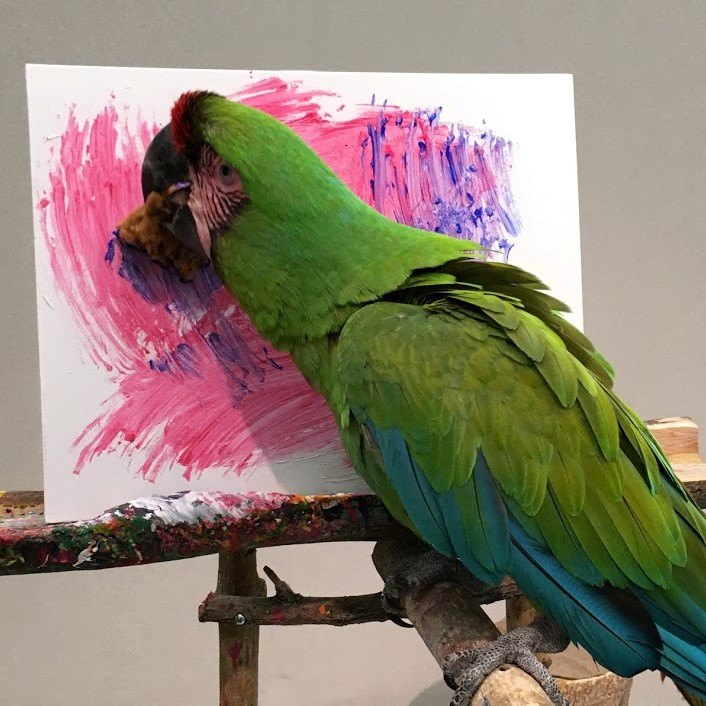 Parrots Who Paint! – Pet Birds by Lafeber Co.