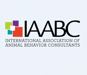 Parrot Behavior Consultants: Who They Are & How They Can Help – Pet ...