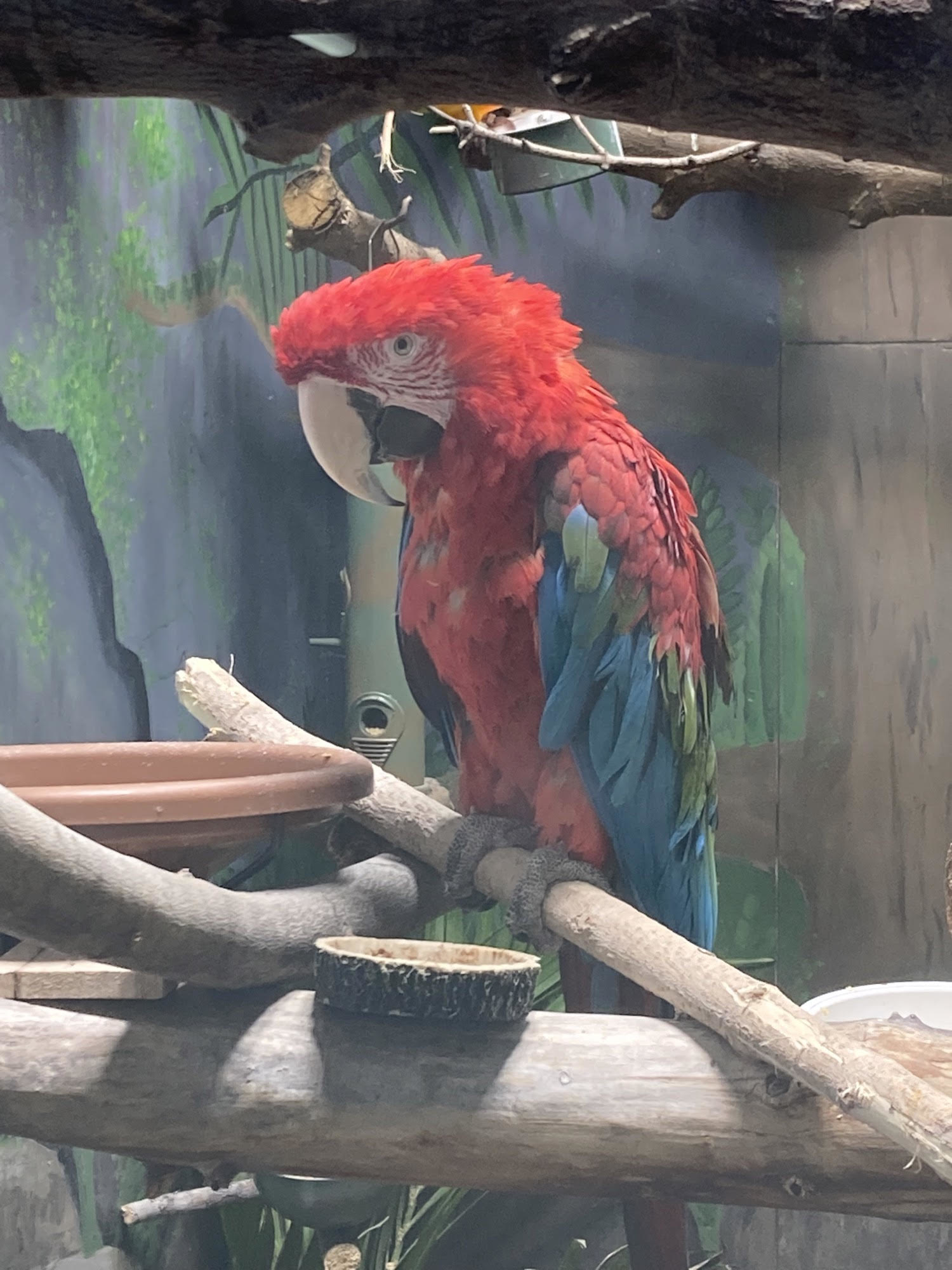 Utah High School Is All About The Birds With Its Groundbreaking Aviary ...