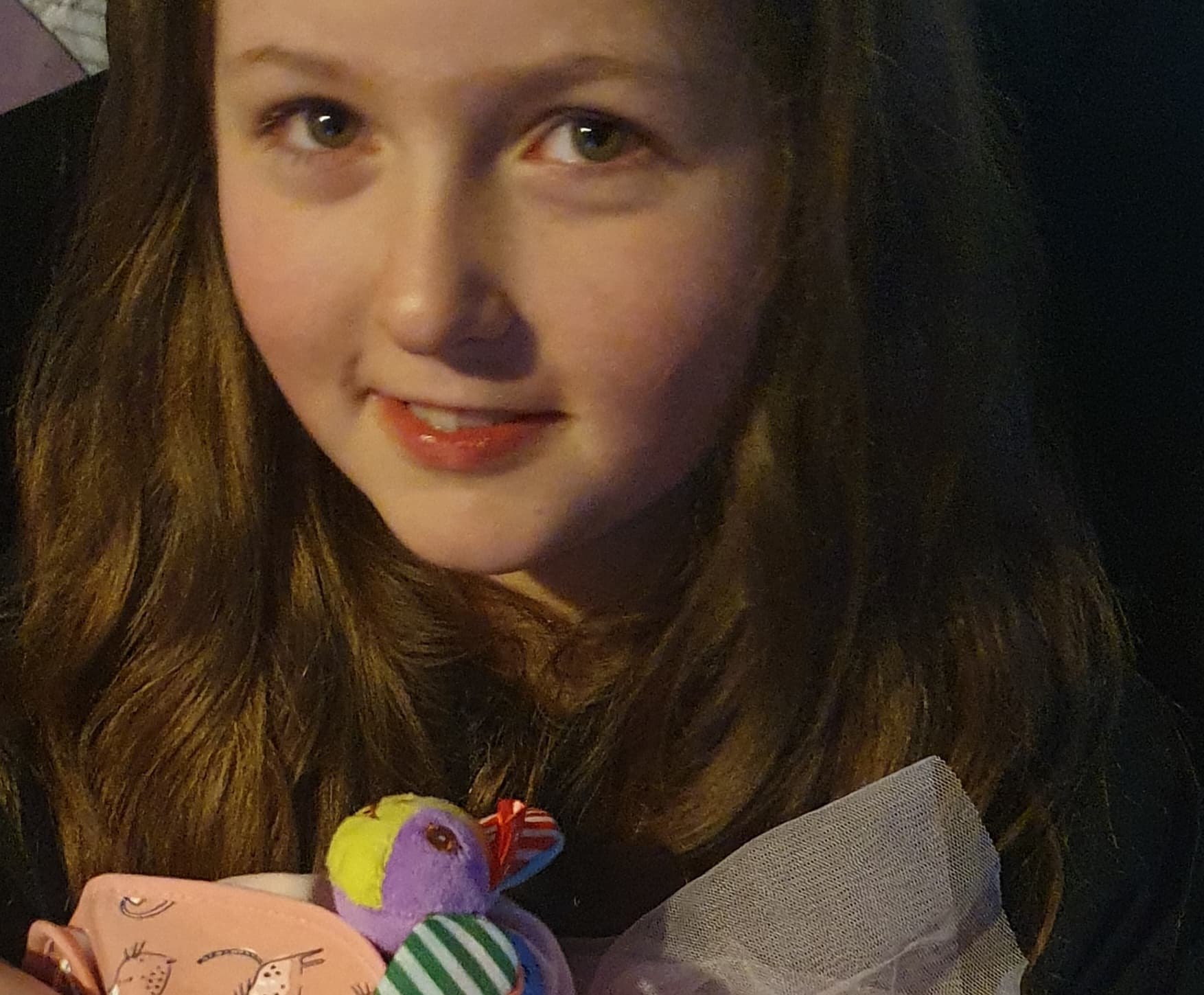 Lost African Grey Parrot's Return Home Brings Joy To Her Special Human ...