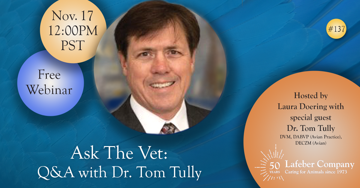 Webinar: Ask The Vet With Dr. Tom Tully – Pet Birds by Lafeber Co.