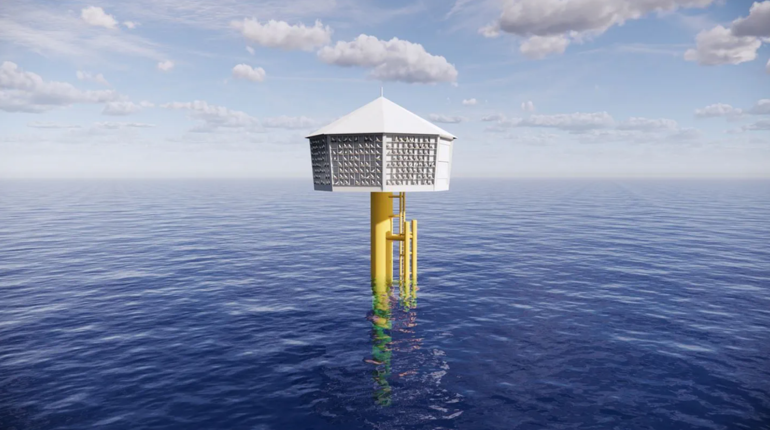 Innovative Ocean High-Rise Nests Help Endangered Birds – Pet Birds by ...