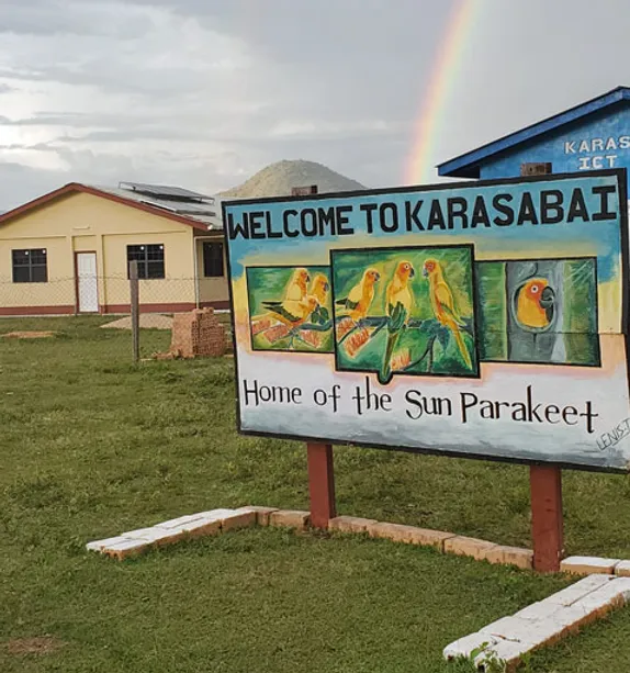 Lafeber’s Global Parrot Conservation Spotlight January 2024: The Sun ...