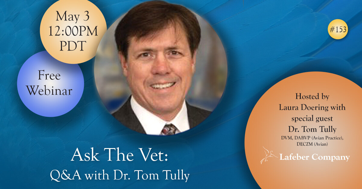 Ask The Vet With Tom Tully, DVM, DABVP (Avian Practice), DECZM (Avian ...