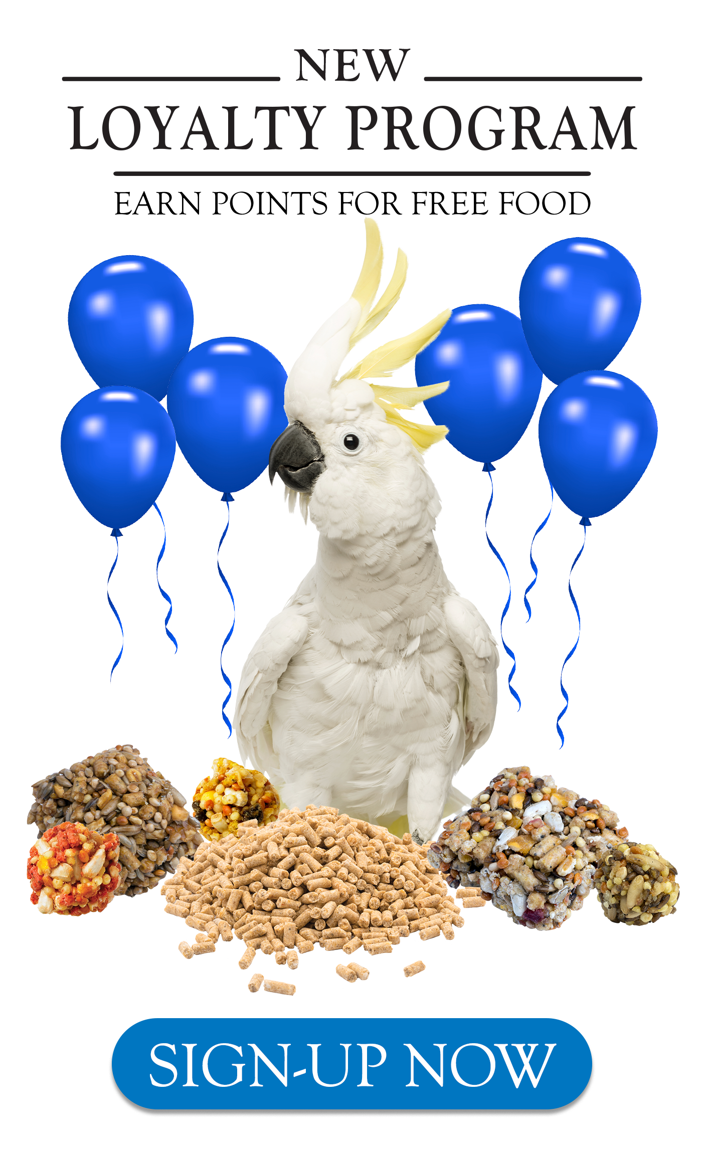 Cockatoo | Personality, Food & Care – Pet Birds by Lafeber Co.