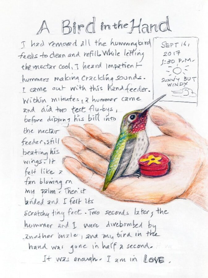 Embrace The Beauty Of Birds With Amy Tan’s Latest Bestseller – Pet ...