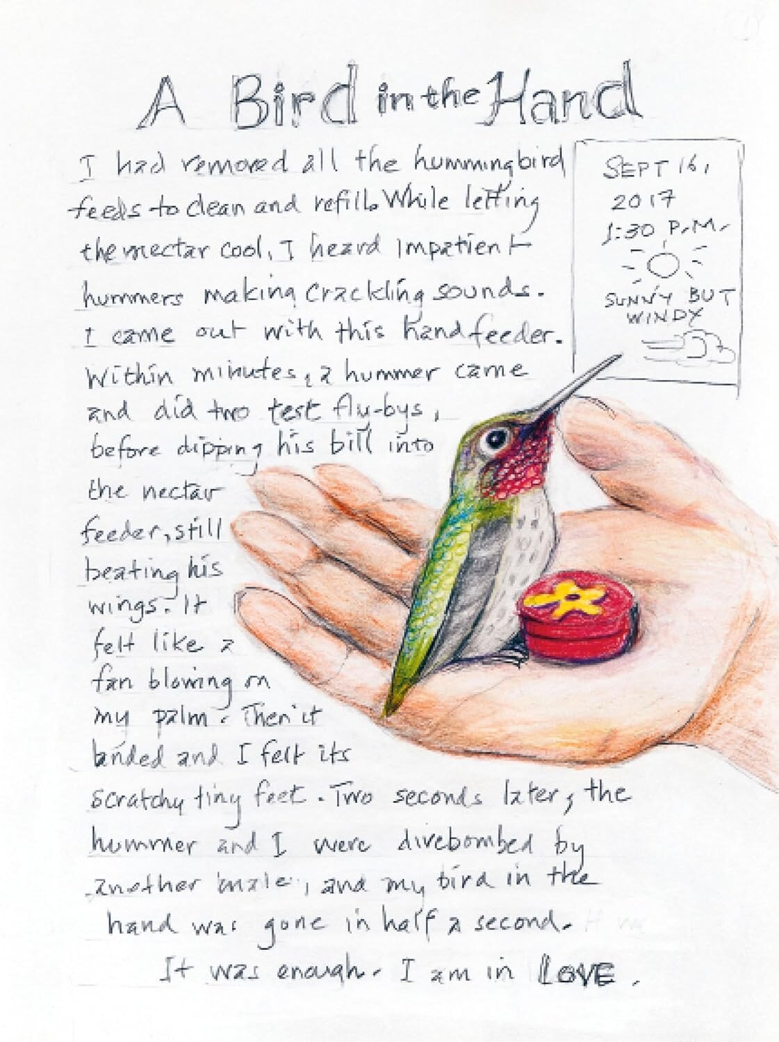 Embrace The Beauty Of Birds With Amy Tan’s Latest Bestseller – Pet ...