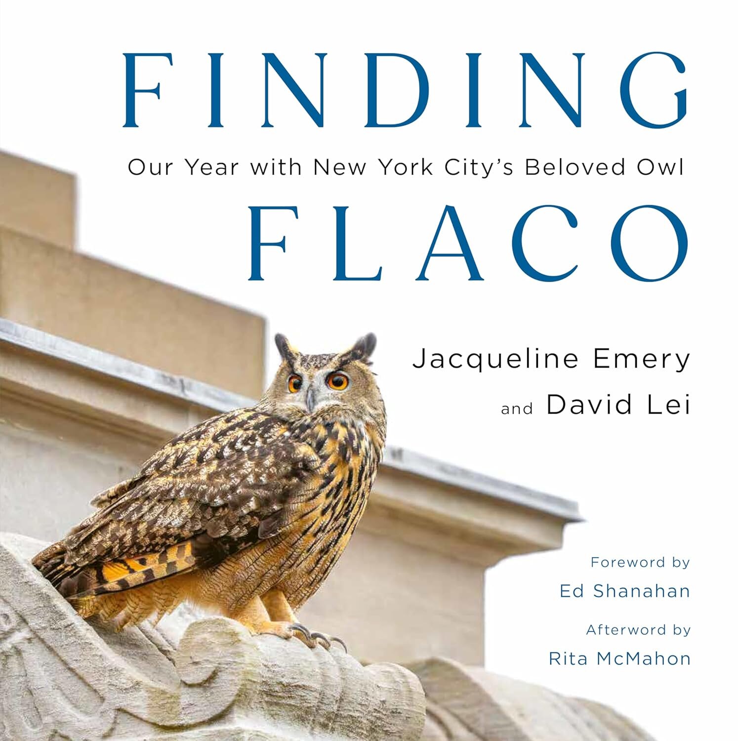 NYC’s Famous Owl, Flaco, Celebrated in New Book – Pet Birds by Lafeber Co.