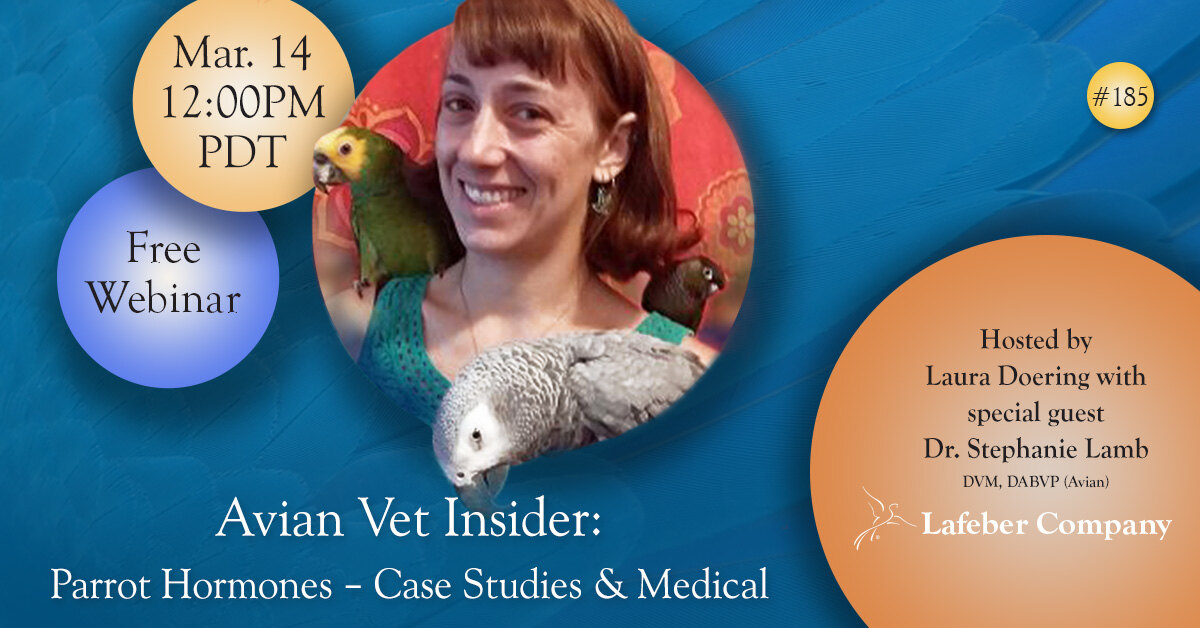 Webinar: Avian Vet Insider: Parrot Hormones — Case Studies And Medical ...