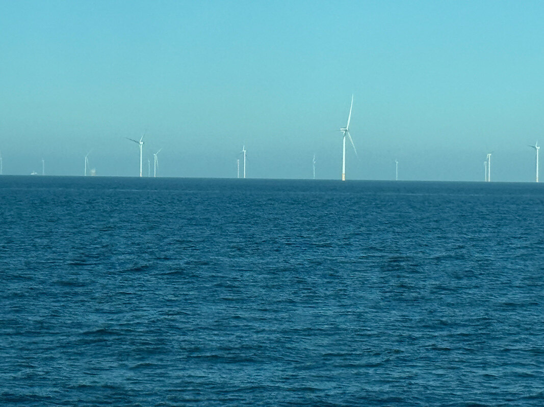 How Wind Energy Is Learning To Watch Out For Birds – Pet Birds by ...