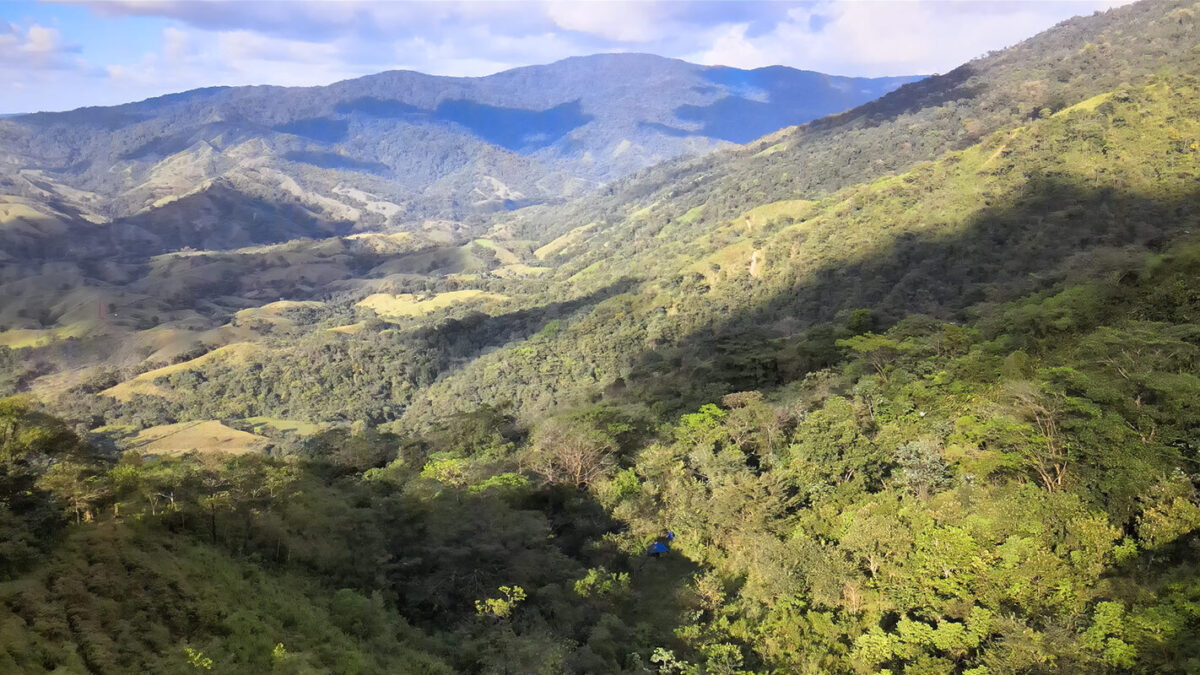 Lafeber’s Conservation Spotlight August 2025: Re-Wilding Panama’s Great ...