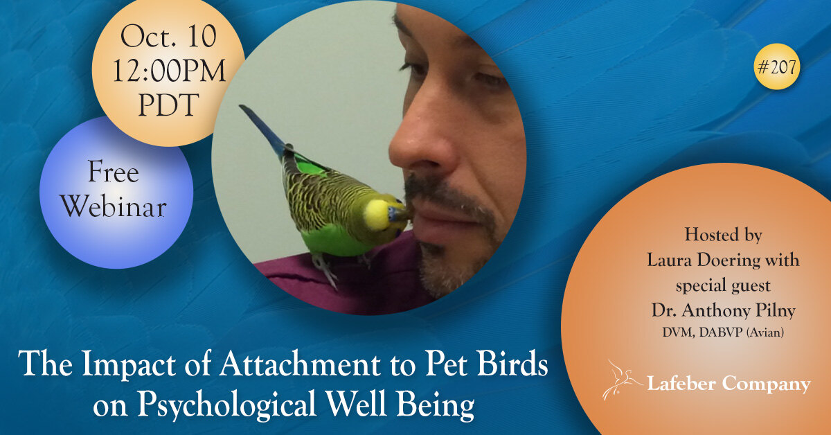 Webinar: The Impact of Attachment To Pet Birds On Psychological Well ...