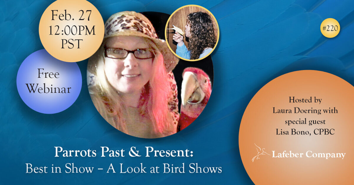 Webinar: Parrots, Past, And Present: Best In Show — A Look At Bird ...
