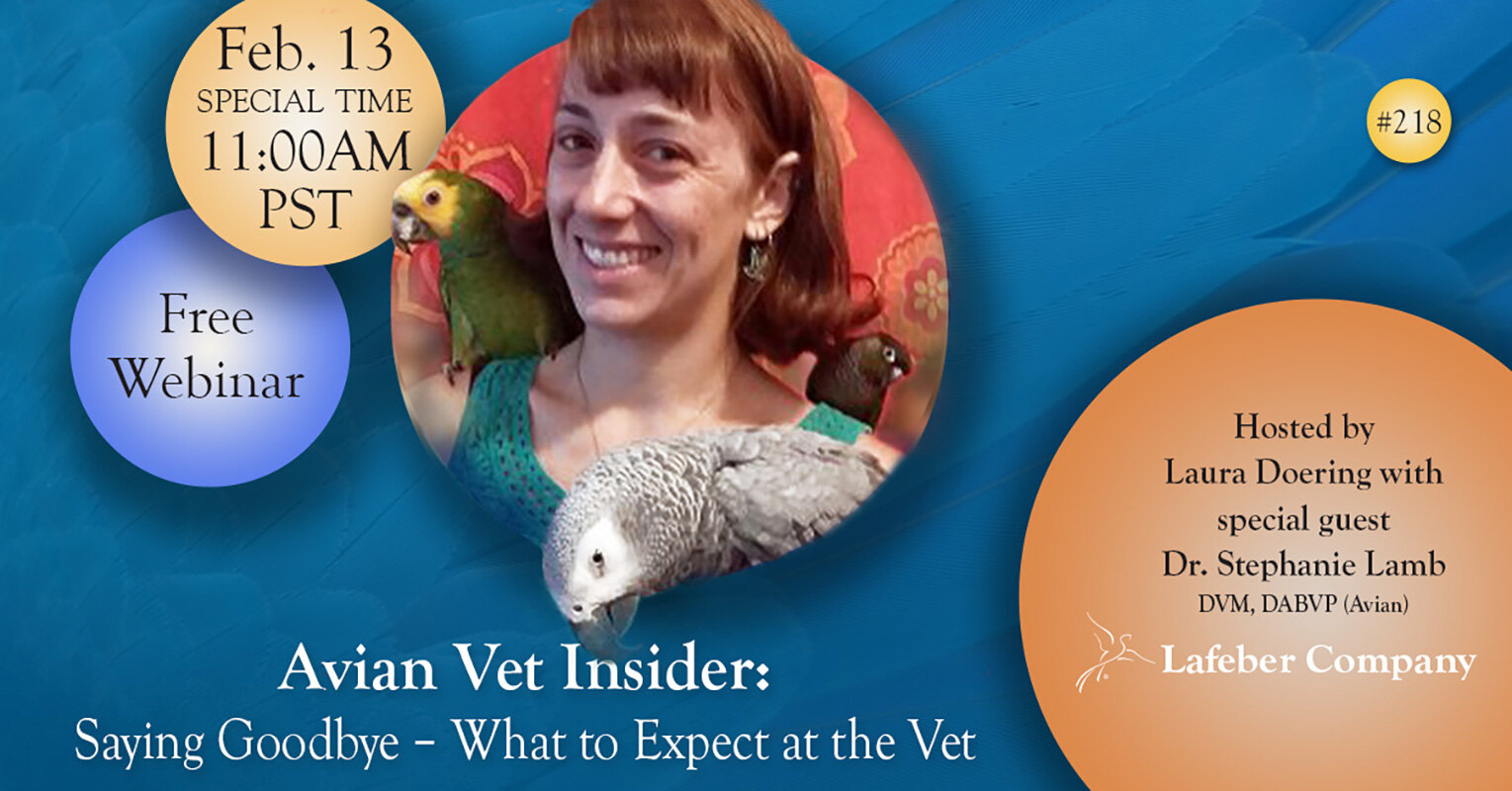 Webinar: Avian Vet Insider: Saying Goodbye - What to Expect at the Vet ...
