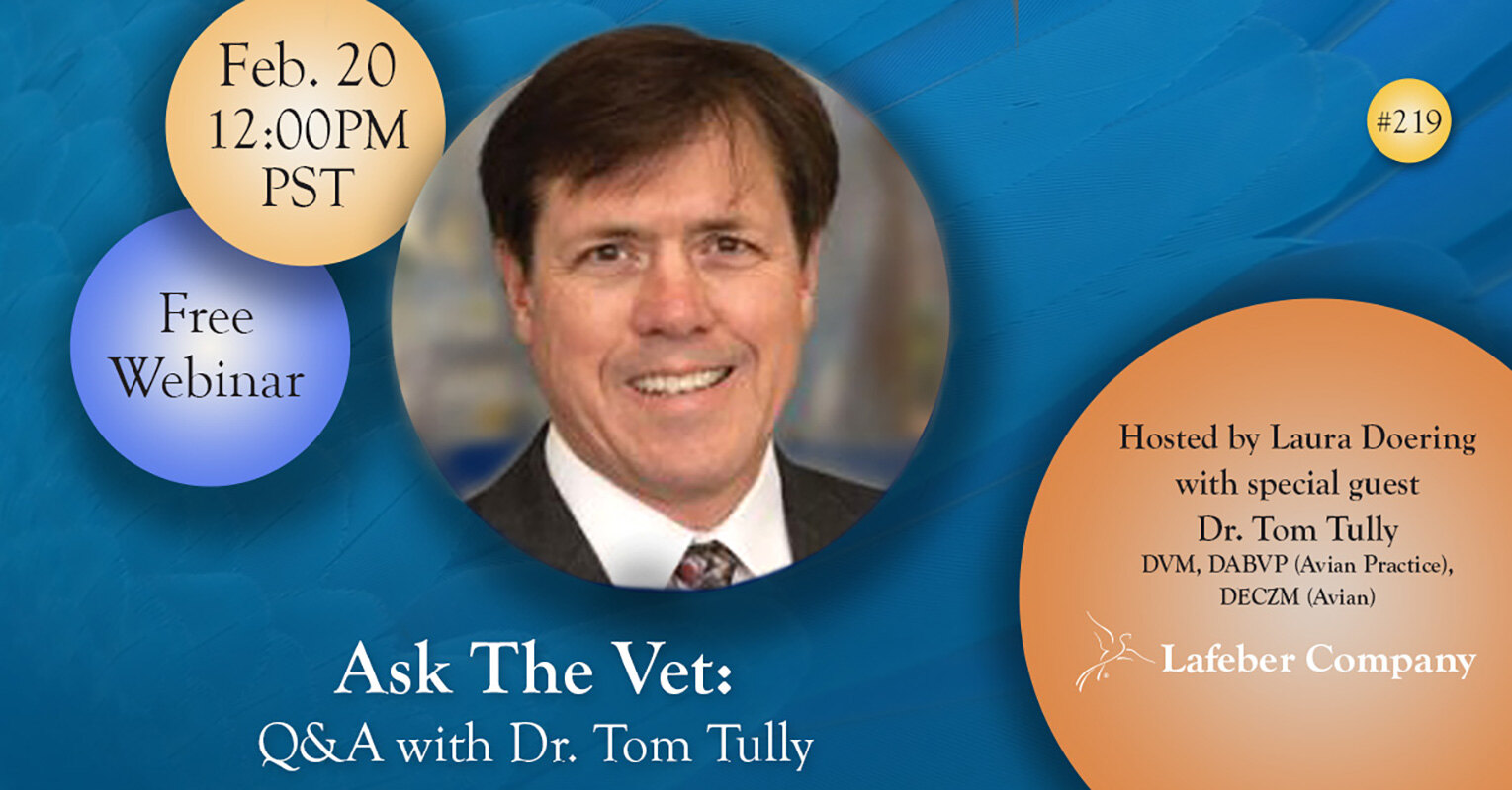 Ask the Vet with Tom Tully, DVM, DABVP (Avian Practice), DECZM (Avian ...