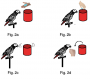 Inside Dr. Pepperberg's Lab: Do Parrots Understand Probability? – Pet ...