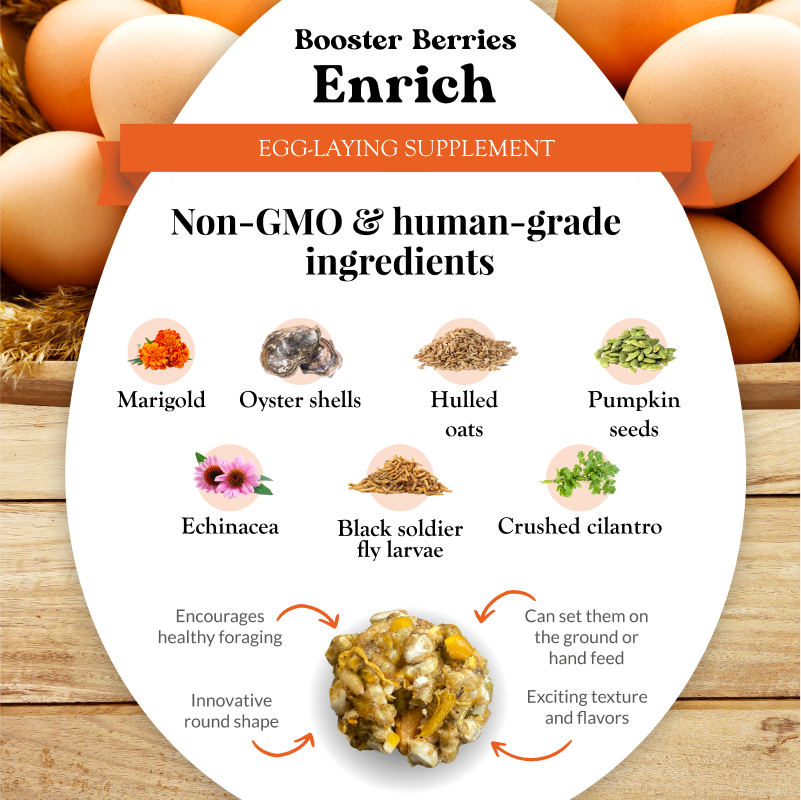 Booster Berries Enrich Chicken Supplement 10oz – Pet Shop