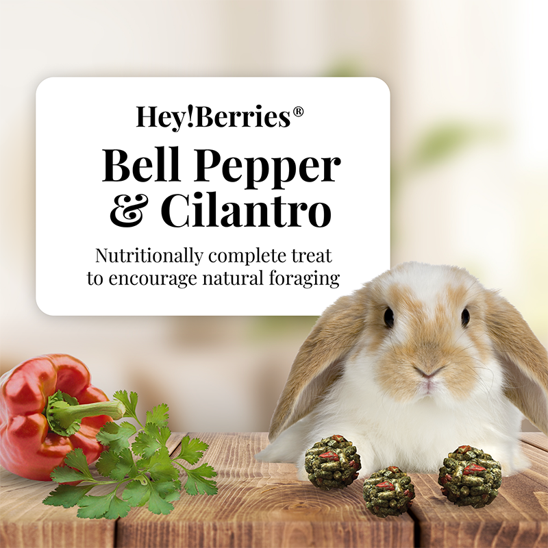 Hey!Berries Bell Pepper and Cilantro for Rabbits 5 oz – Pet Shop