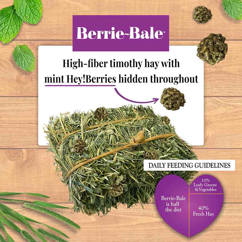 Berrie-Bale Mint for Rabbits 1 lb – Pet Shop