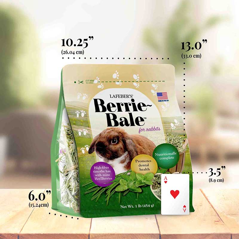 Berrie-Bale Mint for Rabbits 1 lb – Pet Shop
