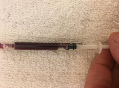 General Principles of Reptile Venipuncture - LafeberVet