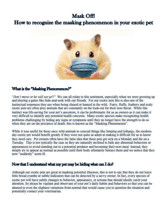 Mask Off! How to Recognize the Masking Phenomenon in Your Exotic Pet ...
