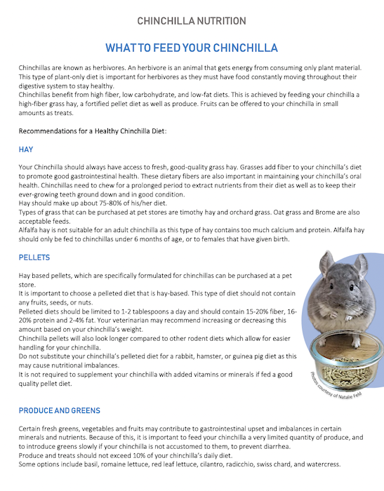 Chinchilla Nutrition - LafeberVet