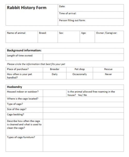 Rabbit History Form - LafeberVet