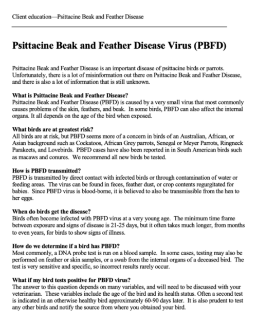 Psittacine Beak and Feather Disease - LafeberVet