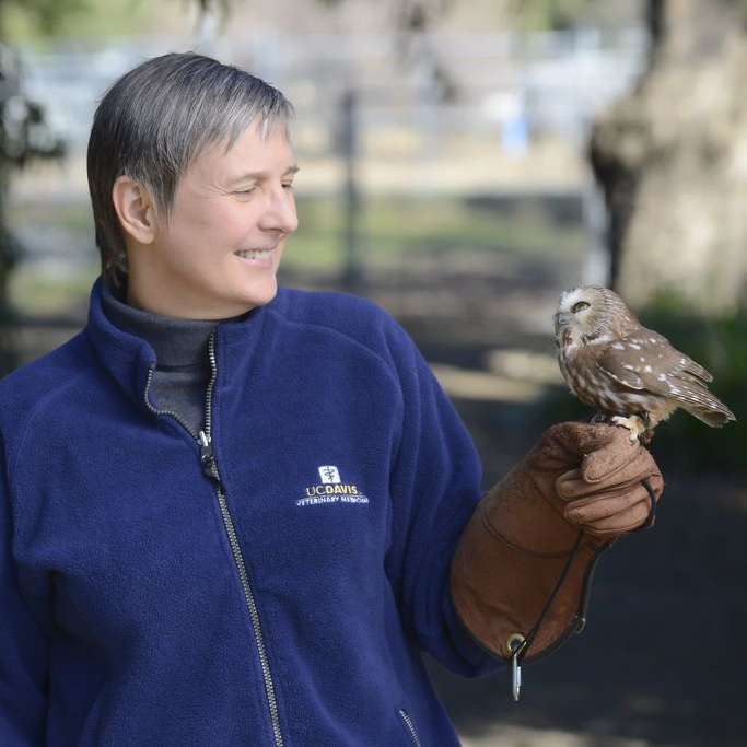 2023 T.J. Lafeber Avian Practitioner of the Year - LafeberVet