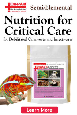 External Coaptation in Birds: Bandages and Splints - LafeberVet