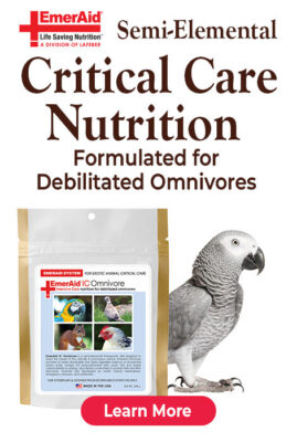 Physical Examination of the Avian Patient - LafeberVet