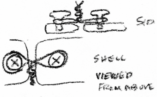 Chelonian Shell Repair - LafeberVet