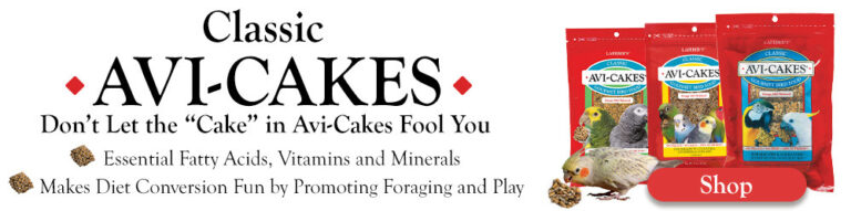 Body Condition Scoring in Birds - LafeberVet