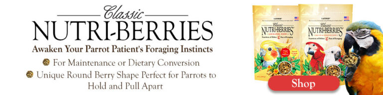 Body Condition Scoring in Birds - LafeberVet