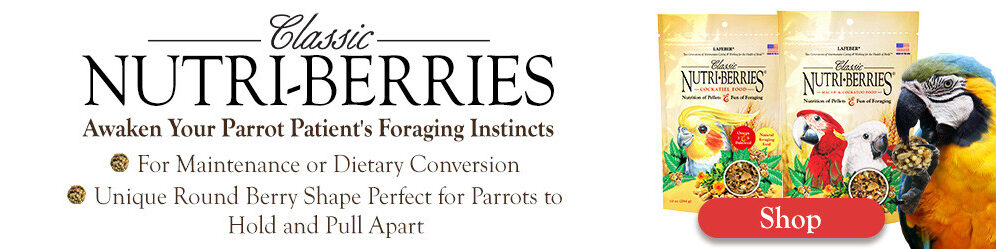 Lizard Handling and Restraint - LafeberVet