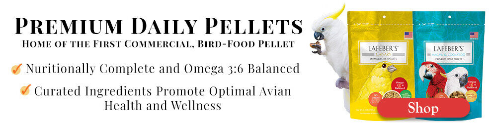 Lizard Handling and Restraint - LafeberVet